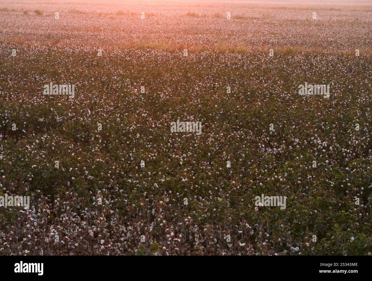 1998 Land Rover Defender road view from the driver's side. Old vehicle ...