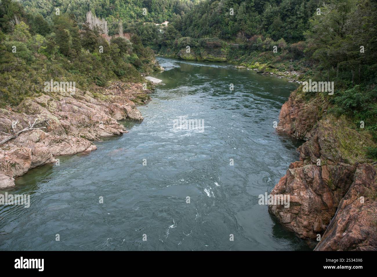 The Buller river flowing through the forest covered upper Buller Gorge ...
