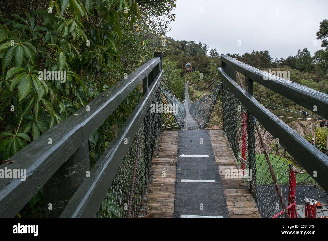 The Buller river flowing through the forest covered upper Buller Gorge ...