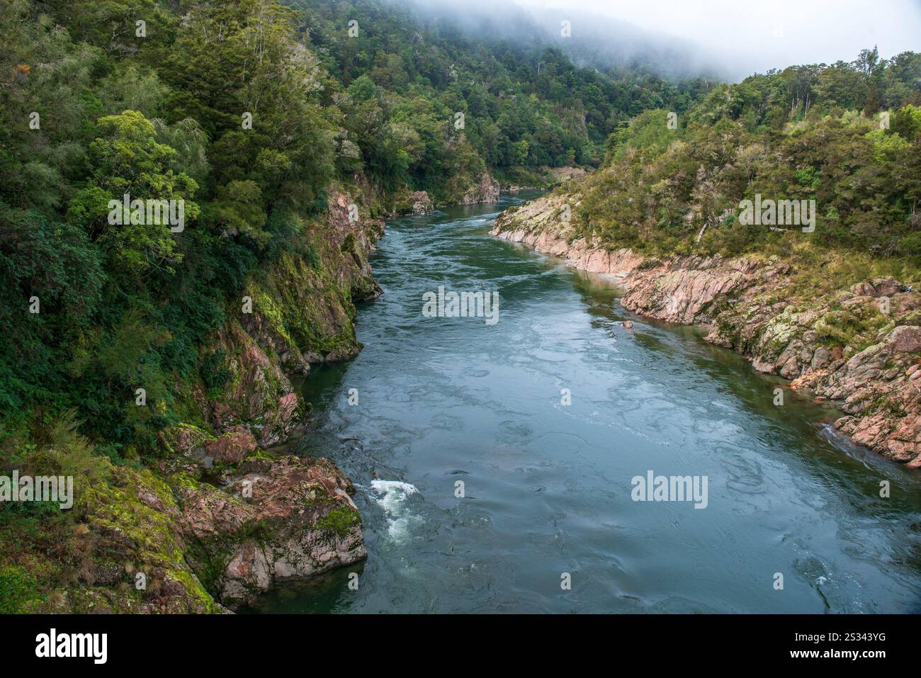 The Buller river flowing through the forest covered upper Buller Gorge ...