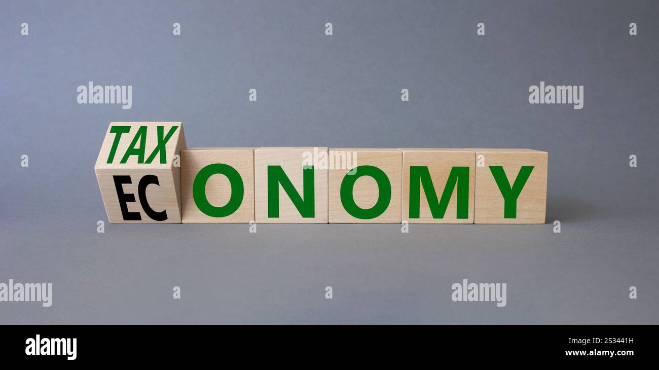 Taxonomy and economy symbol. Turned cubes with words Economy and ...