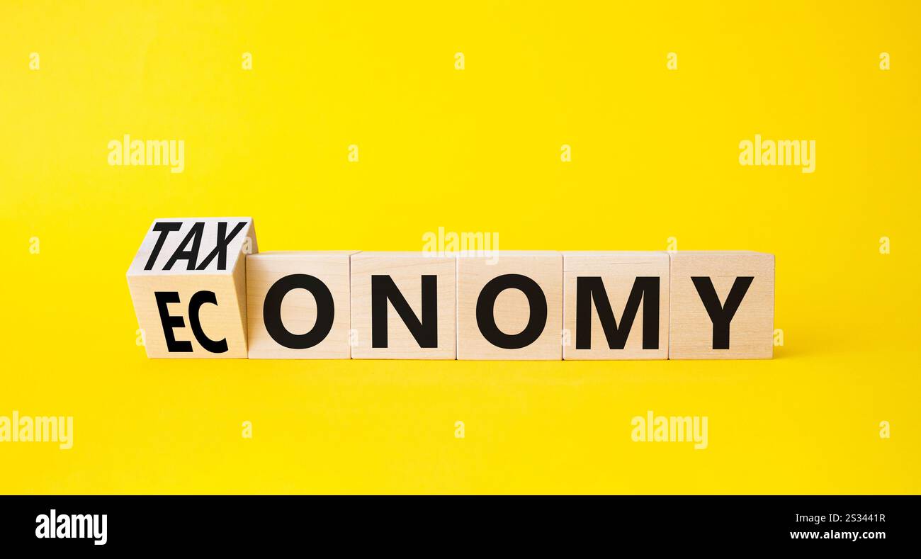 Taxonomy and economy symbol. Turned cubes with words Economy and ...
