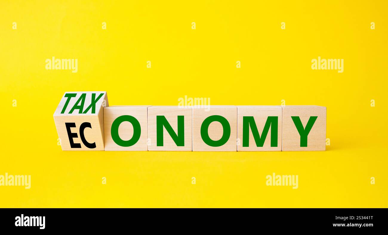 Taxonomy and economy symbol. Turned cubes with words Economy and ...