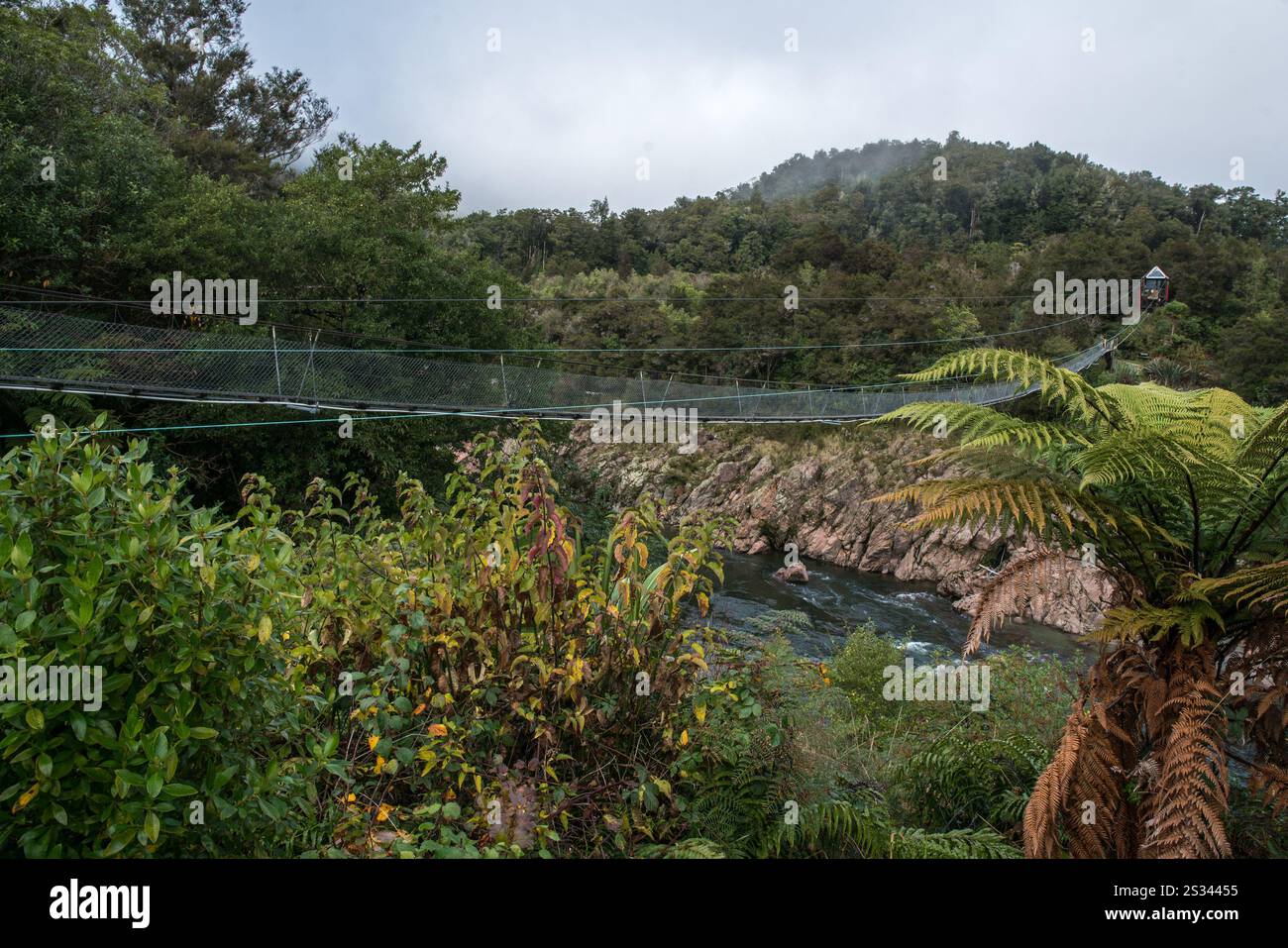 The Buller river flowing through the forest covered upper Buller Gorge ...