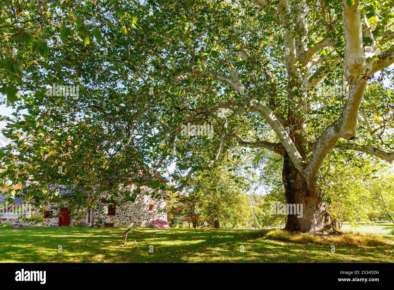Brandywine Battlefield Park with historic Sycamore and Gilpin House in ...