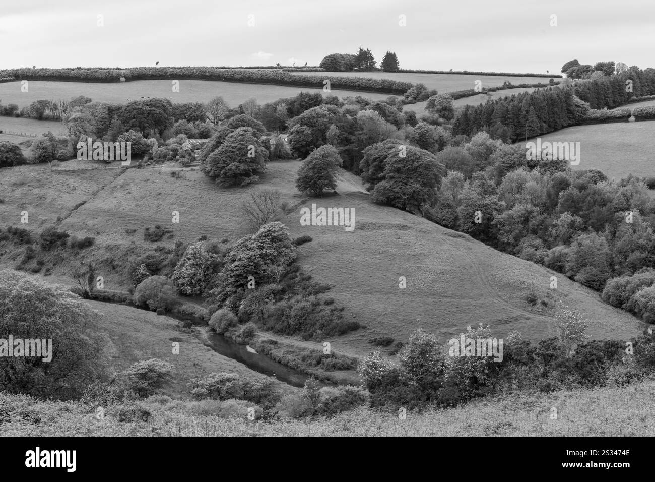 Landscape photo of the valley at Landacre in Exmoor national park Stock ...