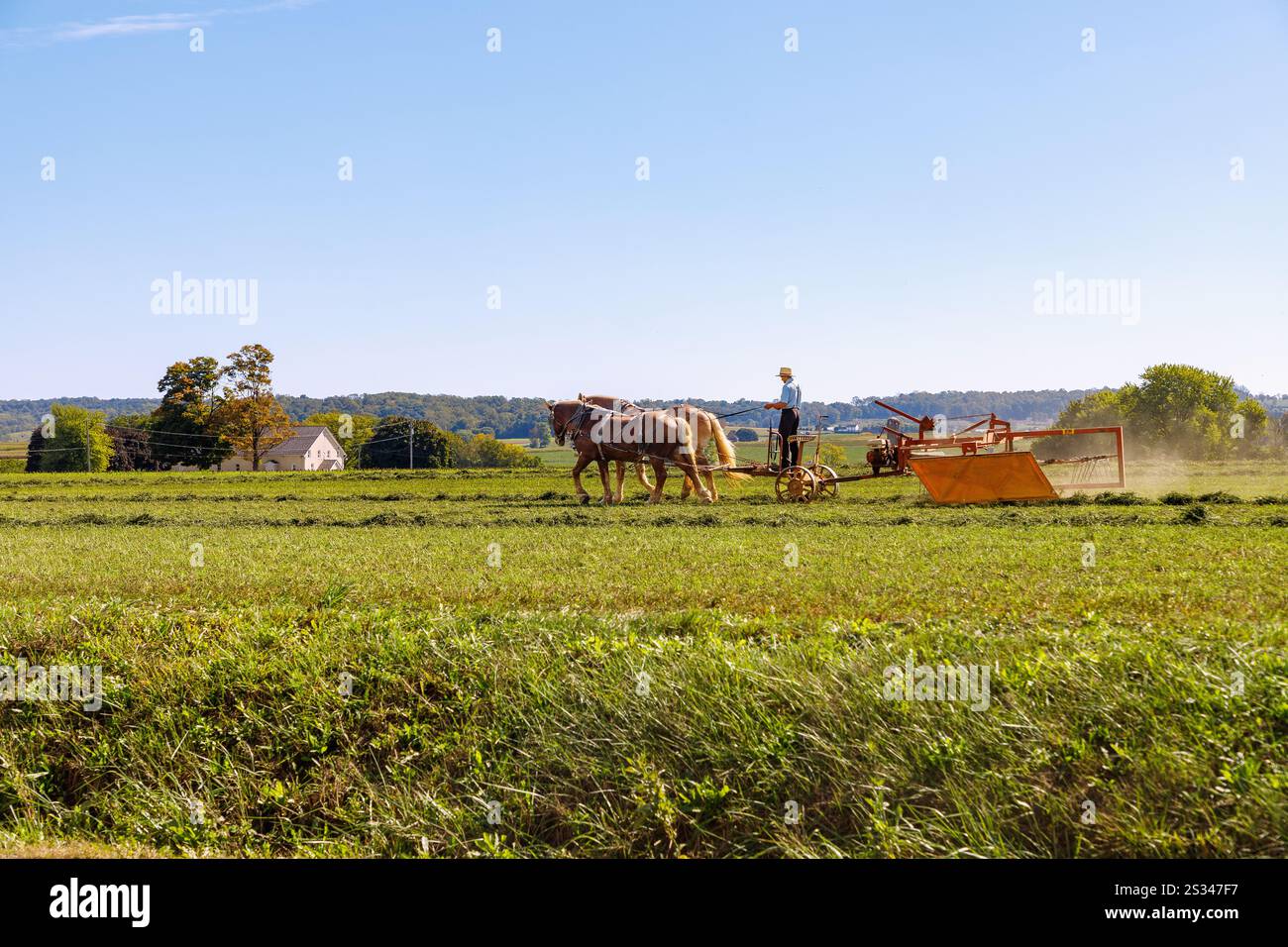 Amish farmer hi-res stock photography and images - Alamy