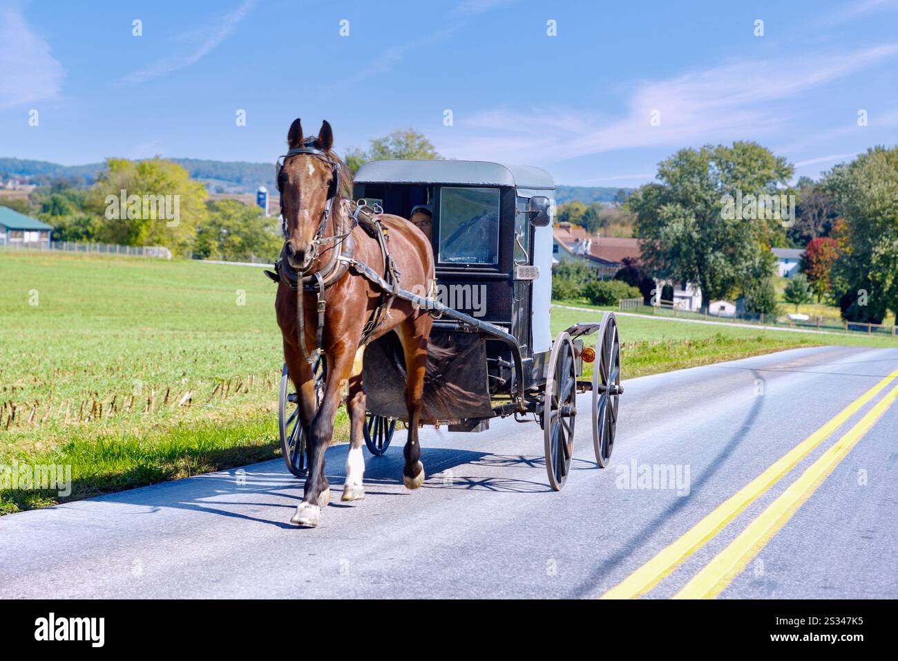 Amish horse-drawn carriage on a country road near Strasburg in the ...