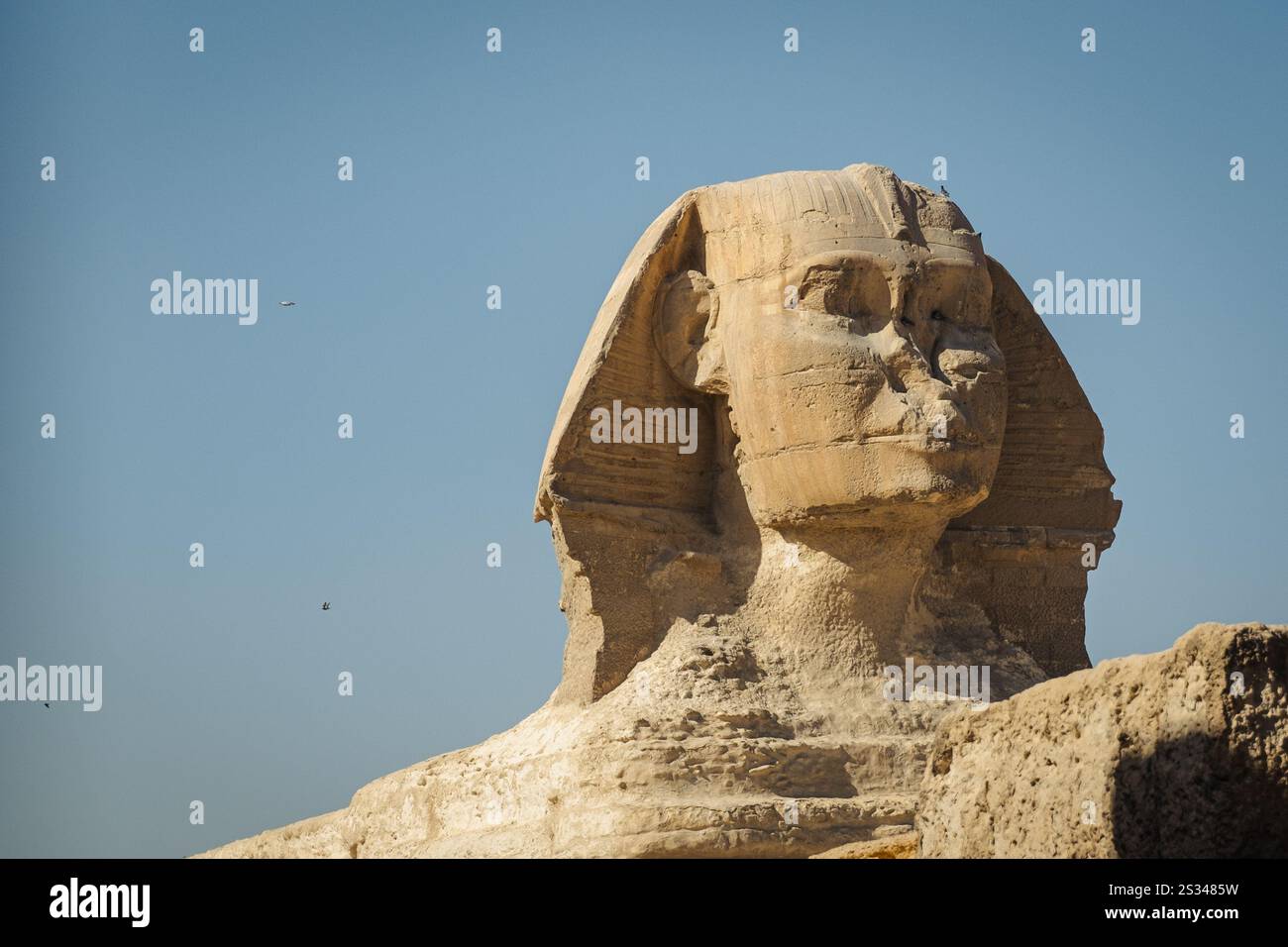 The Great Sphinx of Giza. Giza grand pyramids. Cairo, Ciza, Egypt Stock ...