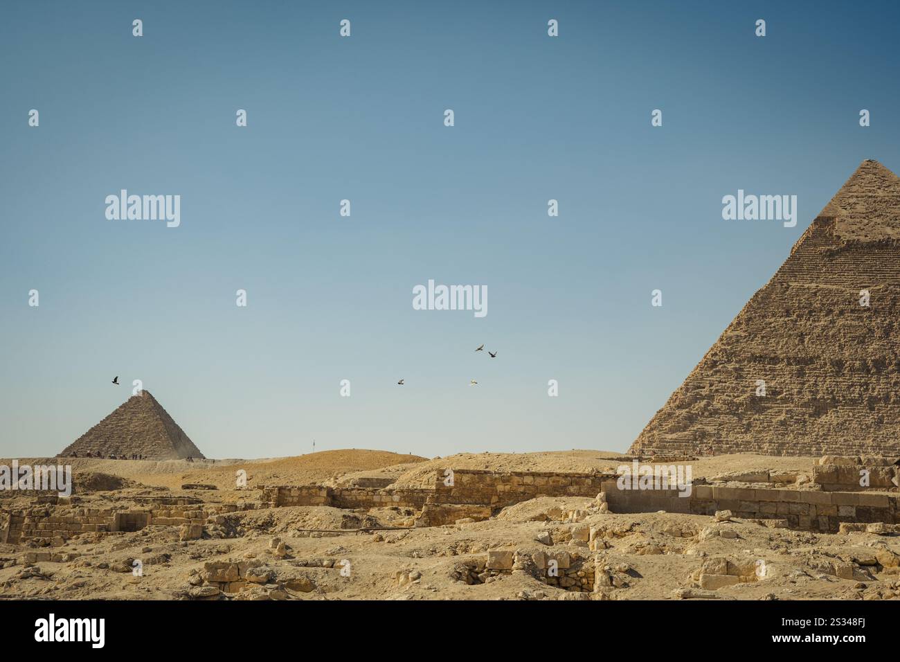 The Great Sphinx of Giza. Giza grand pyramids. Cairo, Ciza, Egypt Stock ...