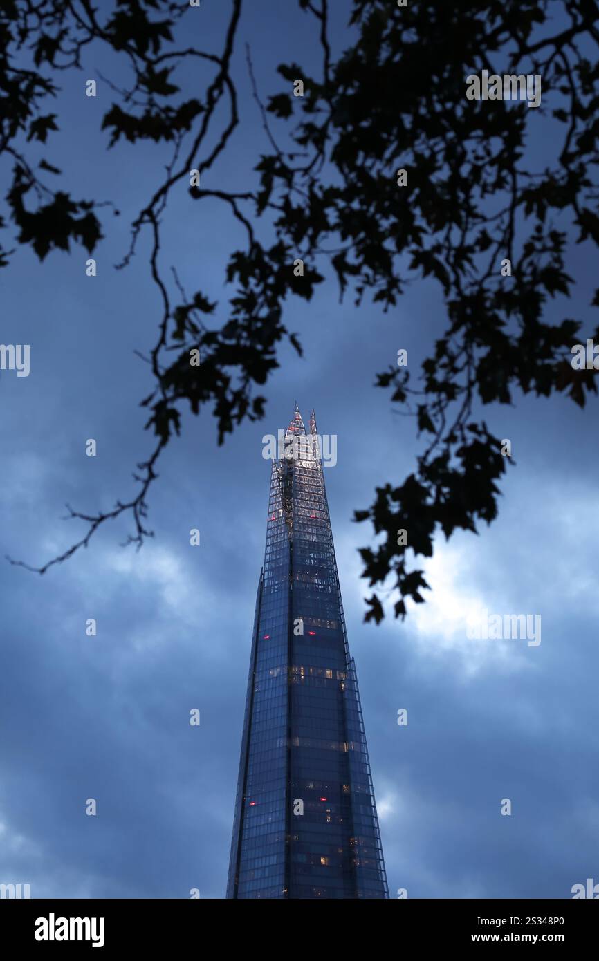 Top of The Shard building London at night framed by trees. Illuminated ...