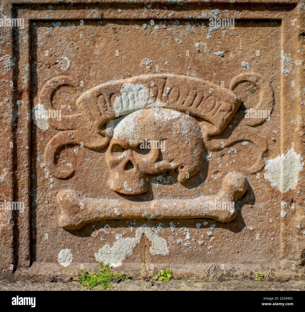 Detail of Gravestone featuring Skull and Bone Stock Photo - Alamy