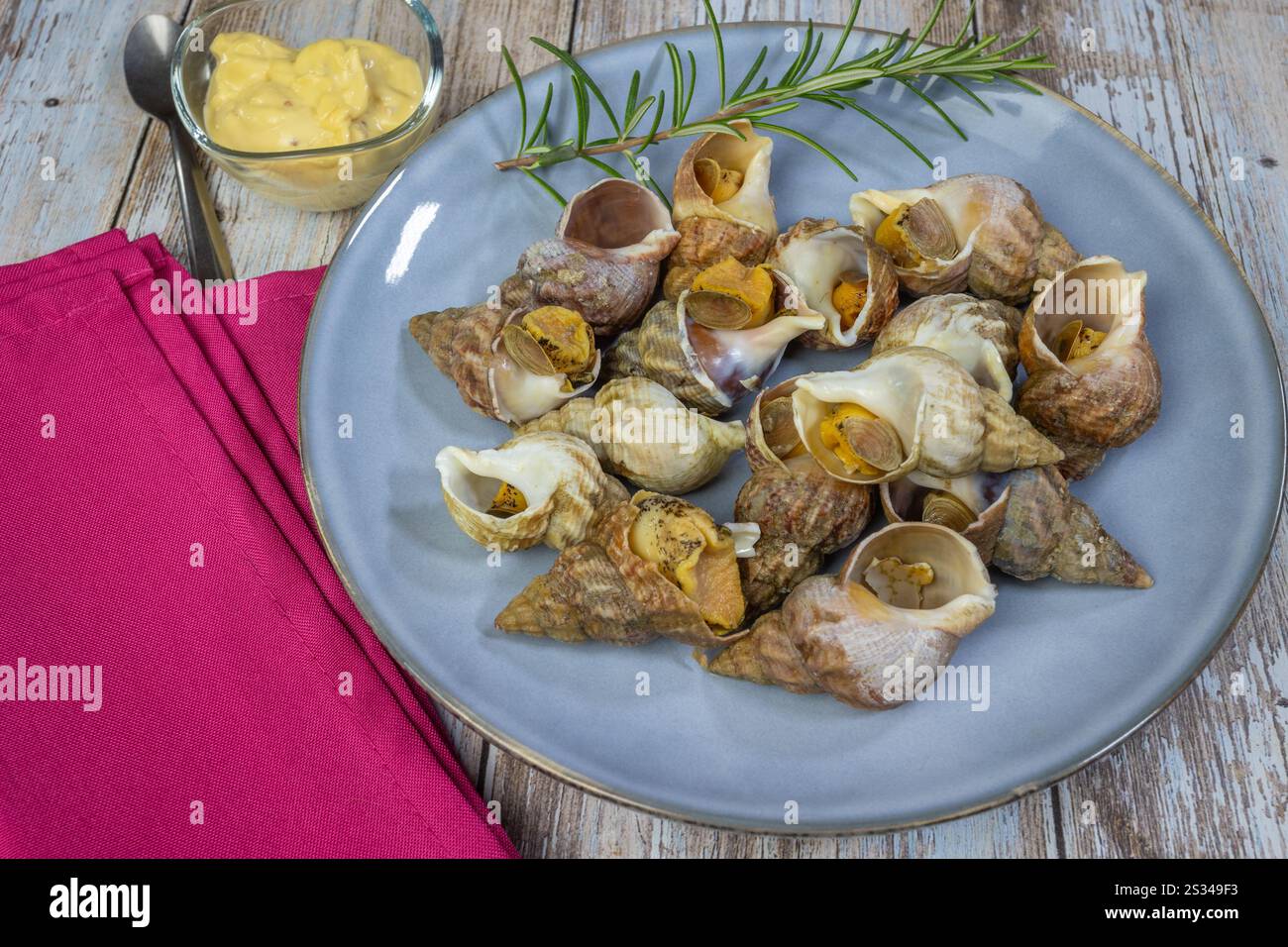 Plate whelks mayonnaise on hi-res stock photography and images - Alamy