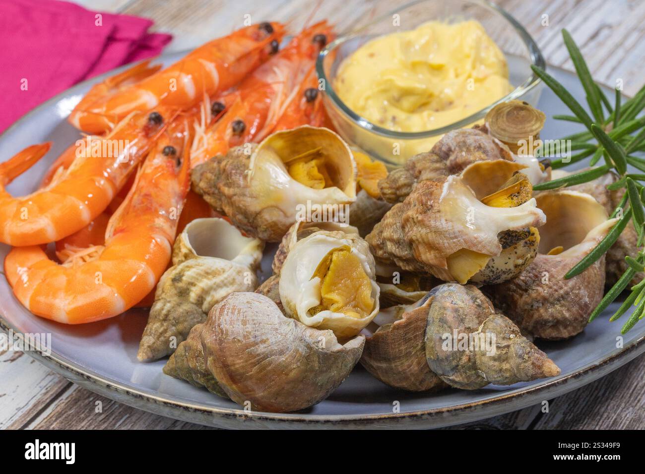 Shrimp and whelks hi-res stock photography and images - Alamy