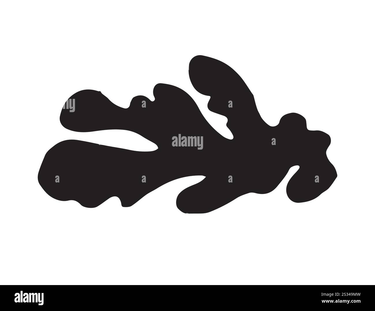 Vector hand drawn ginger root silhouette isolated on white background ...