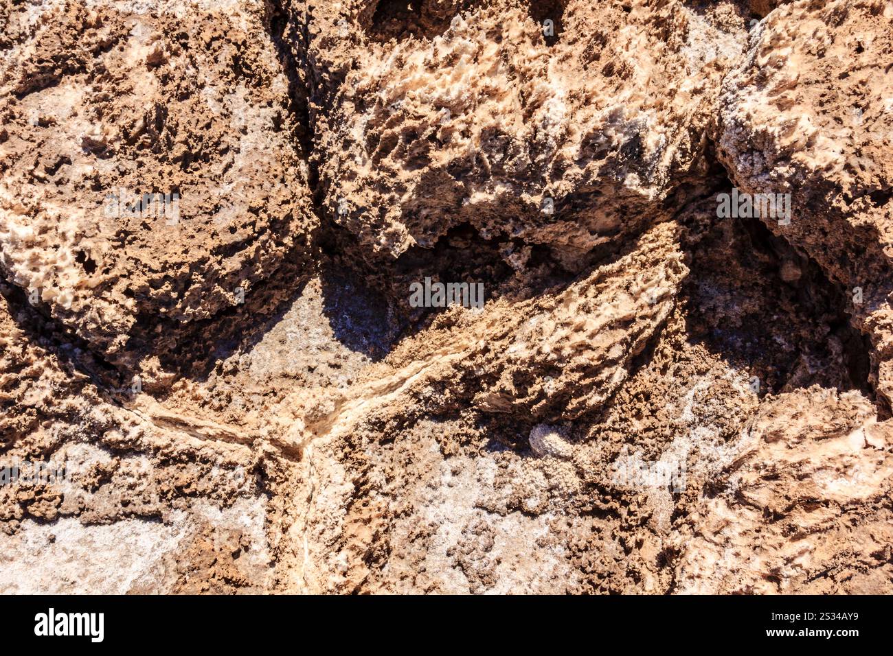 A rocky surface with a lot of holes and bumps. The texture of the rocks ...