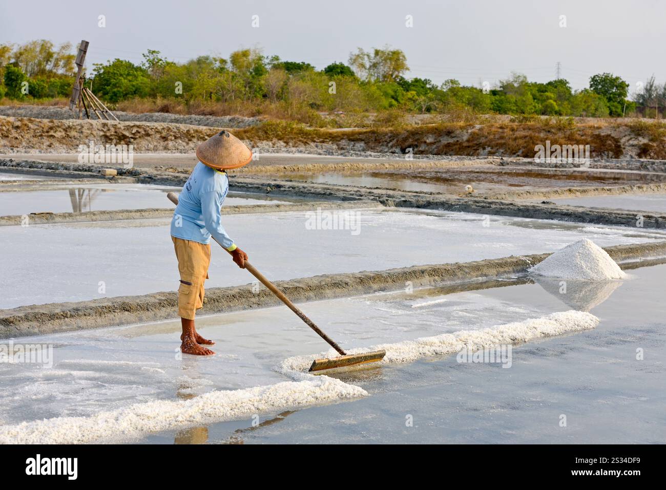 salt fields at Karangjahe, near Lasem, Java island, Indonesia ...