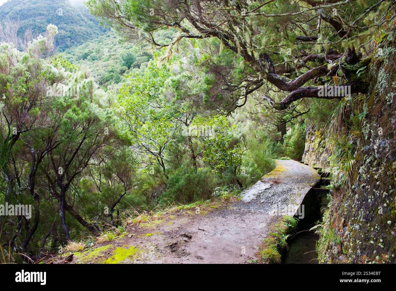 Rabacal levada walk towards the 25 Fountains cirque,Madeira island ...