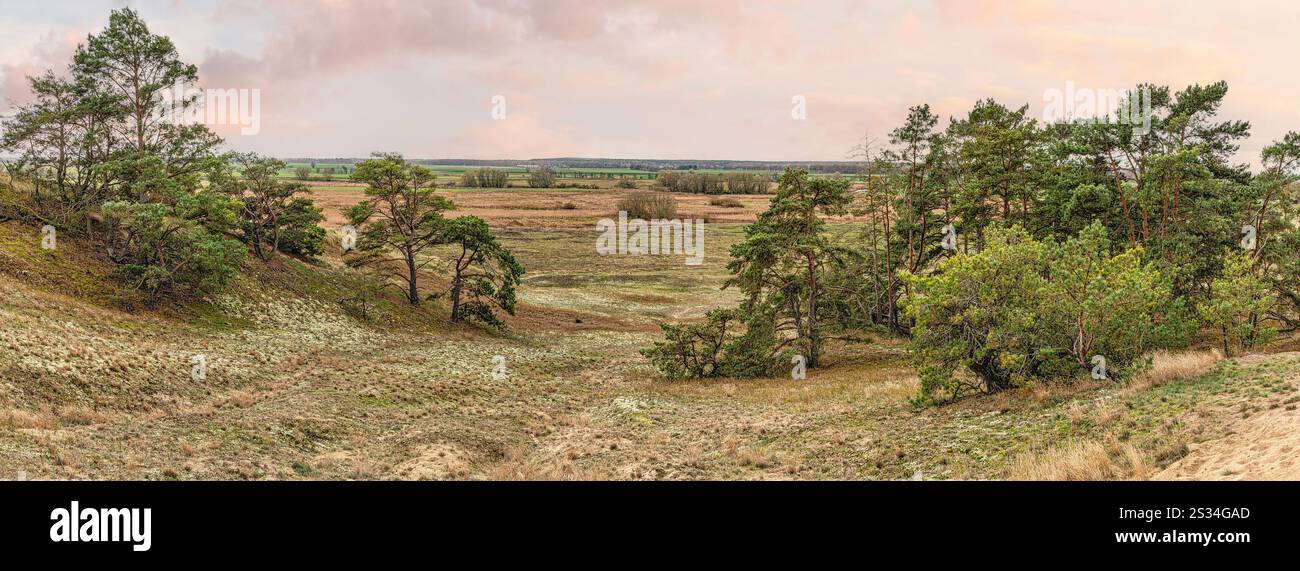 Inland Dunes Nature Reserve near Klein Schmölen, the largest inland ...