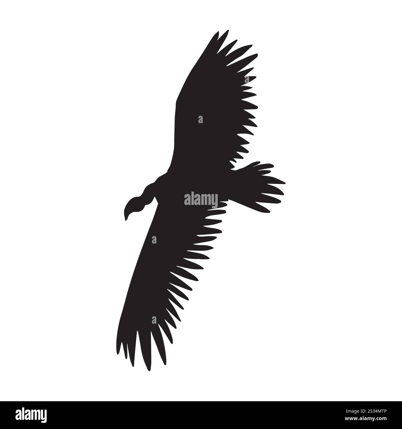 Vector hand drawn flying griffon vulture bird silhouette isolated on white background Stock ...