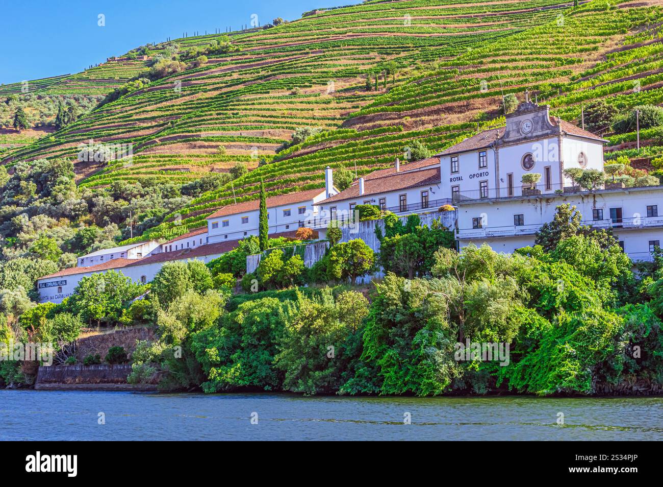 Vineyards and olive groves in the Pinhao region, Vila Real district ...