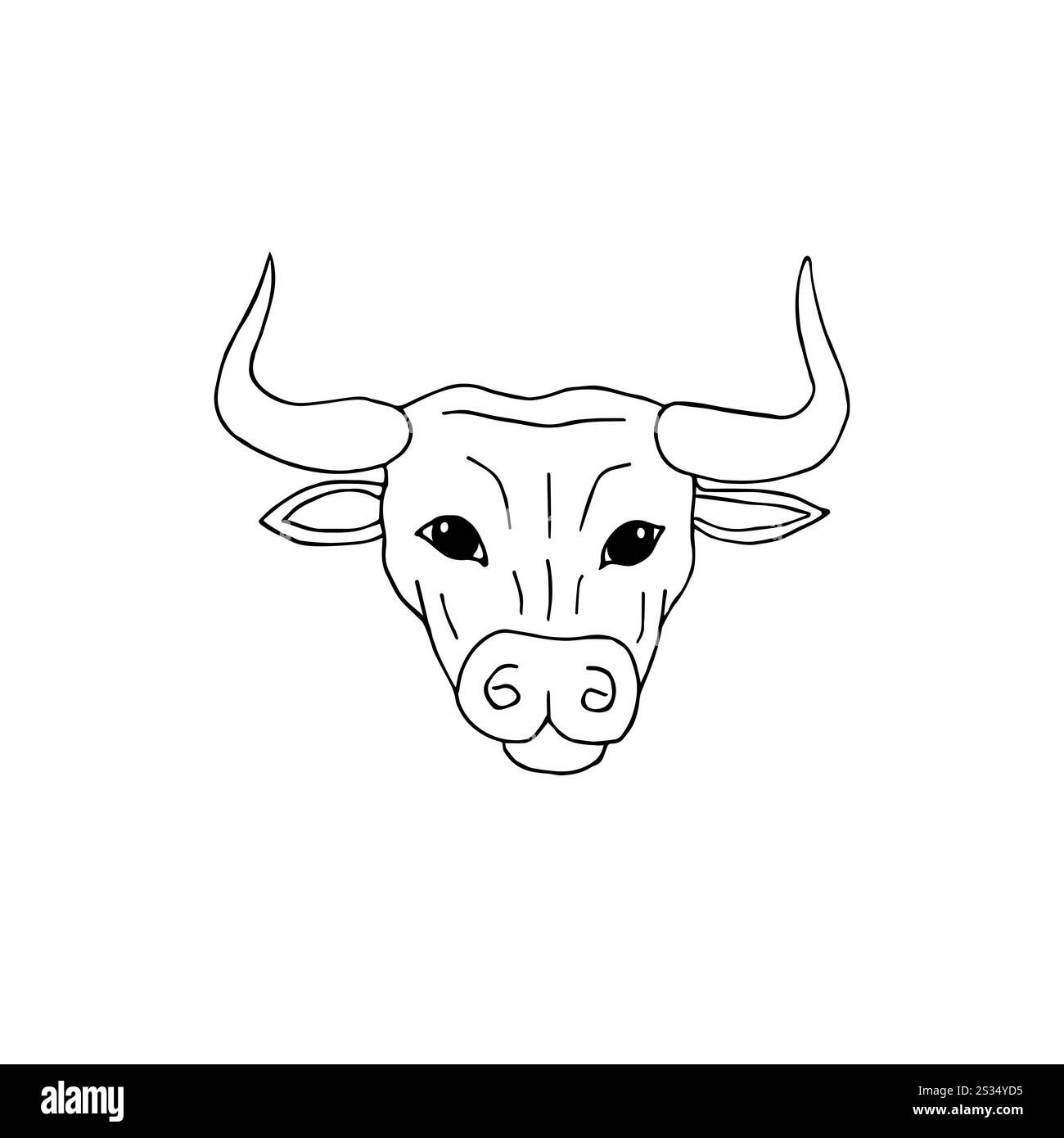 Vector hand drawn doodle sketch bull face isolated on white background ...