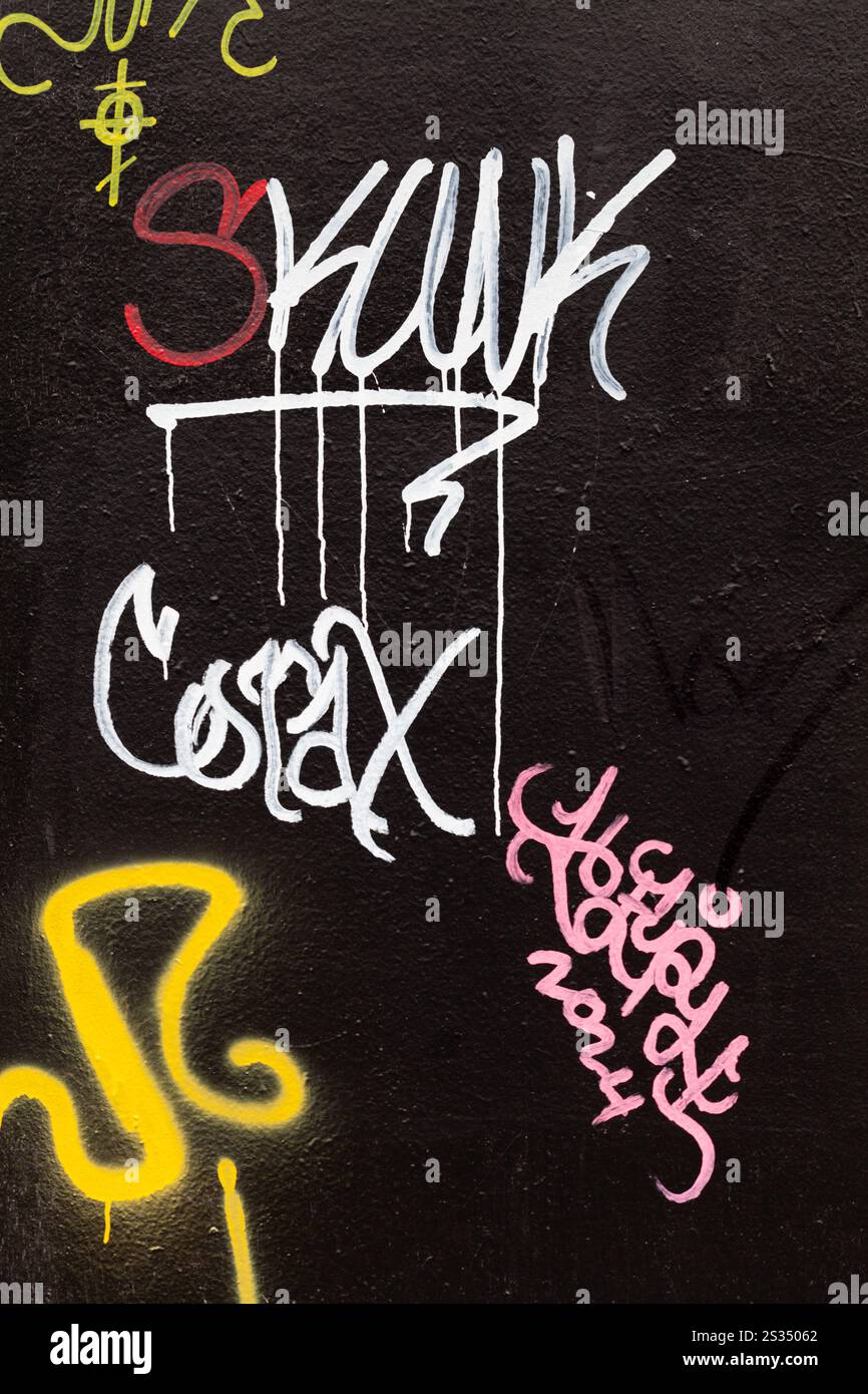 Back Alley art in the Gastown district of Vancouver Canada Stock Photo ...