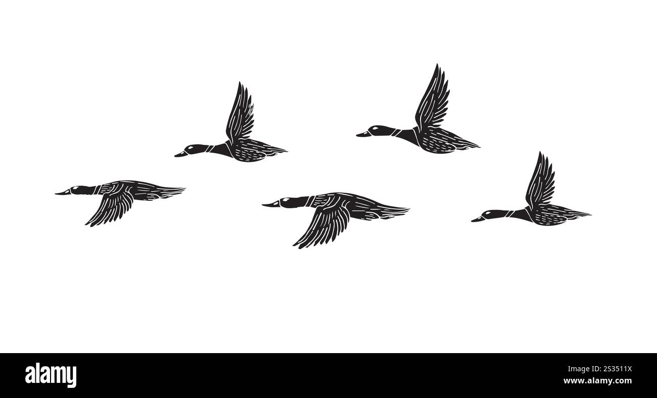 Vector hand drawn doodle sketch flock of flying duck isolated on white ...