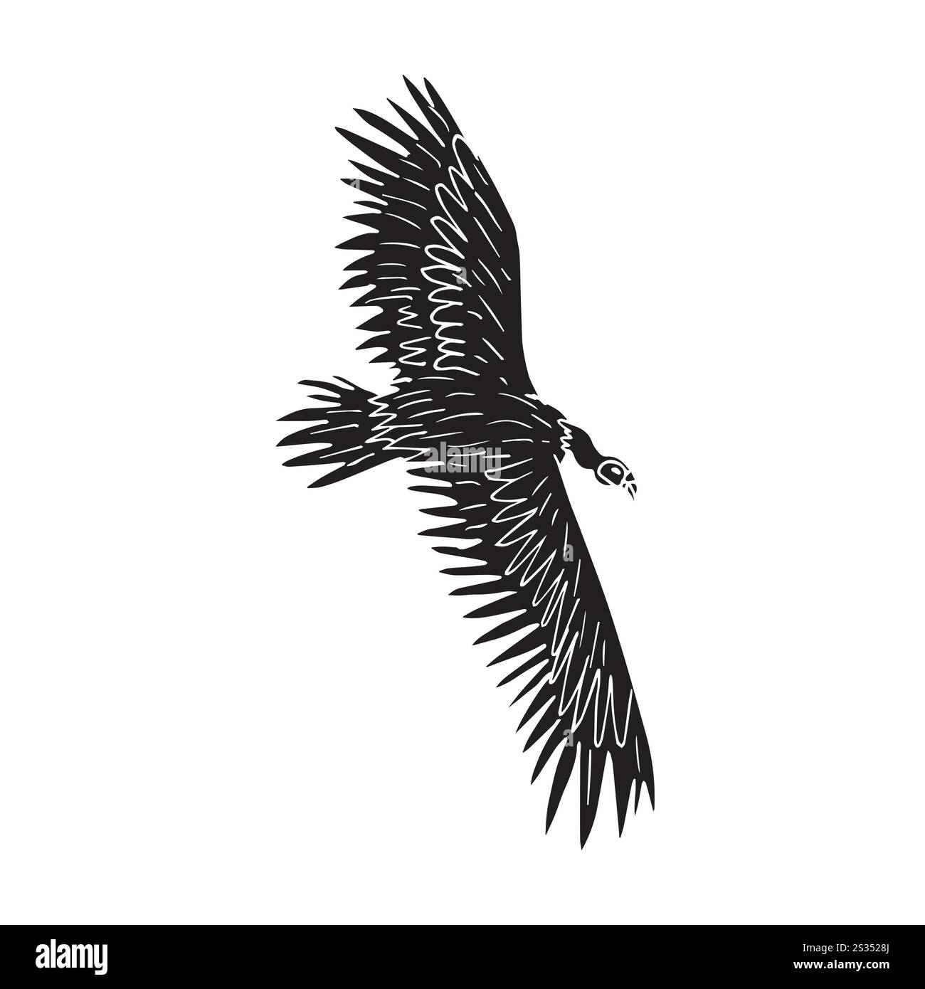 Vector black hand drawn sketch flying griffon vulture bird isolated on white background Stock ...