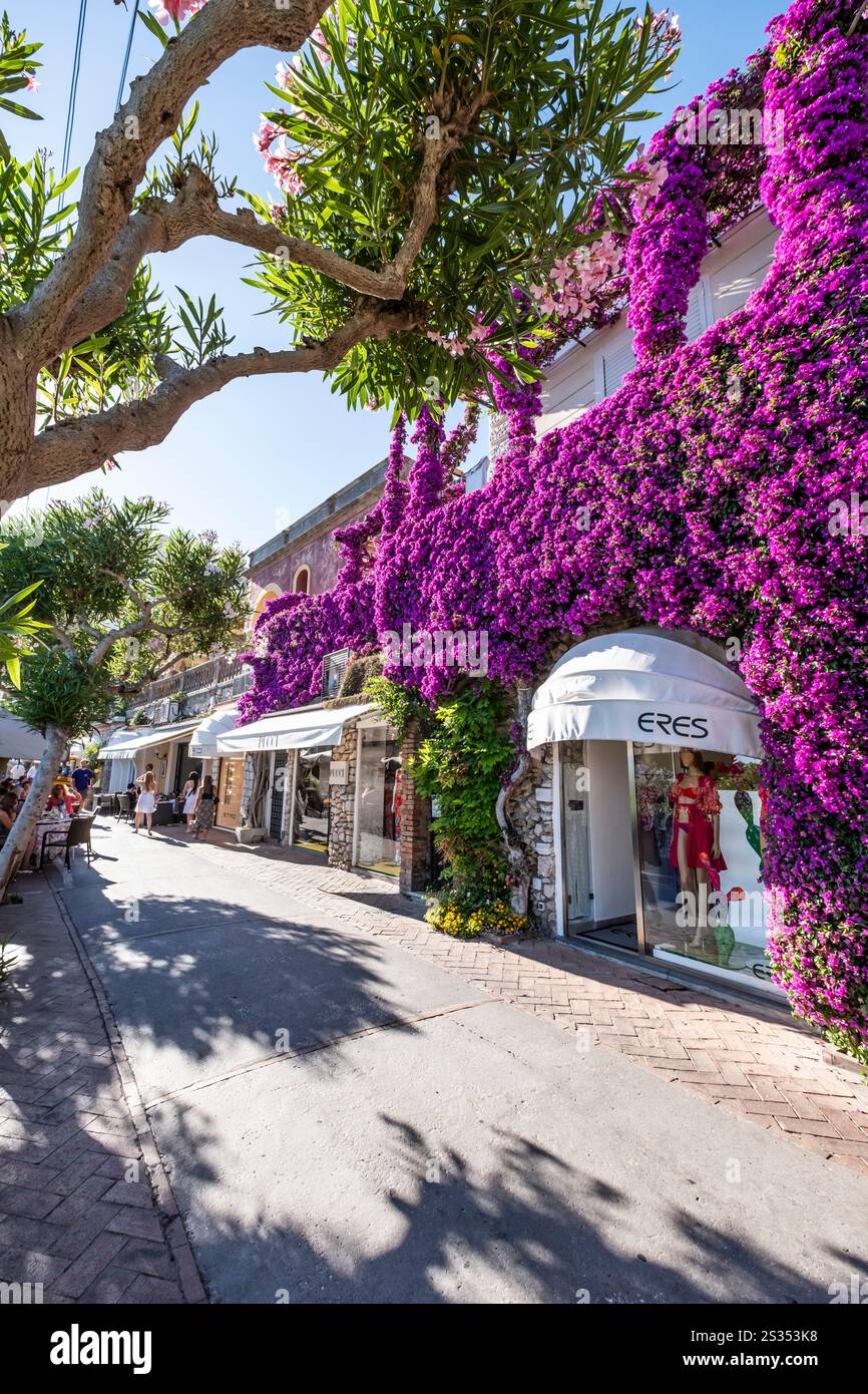 Bougainvillea in capri italy hi-res stock photography and images - Alamy