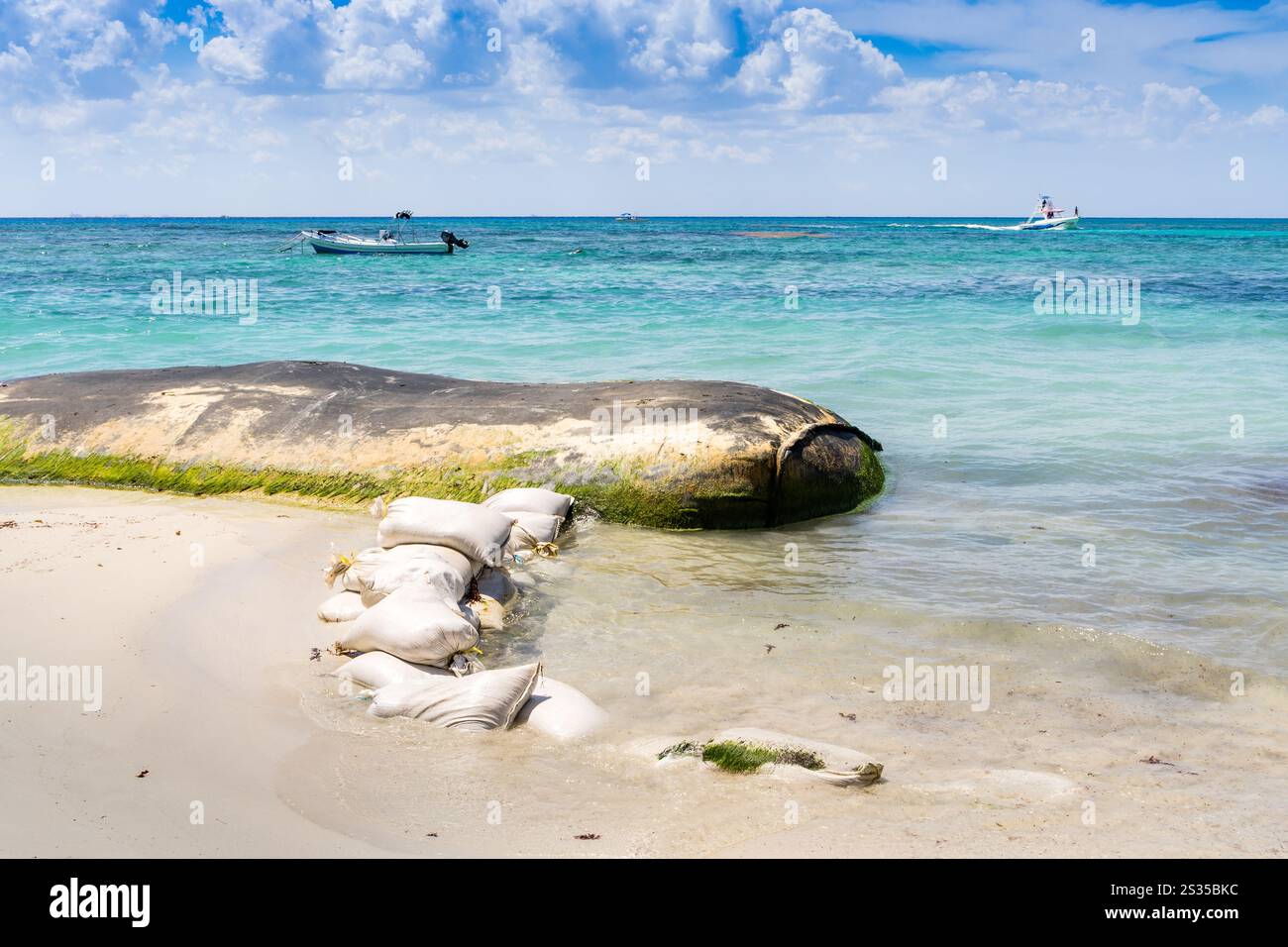 Two types of erosion control bags for coastal protection - traditional ...