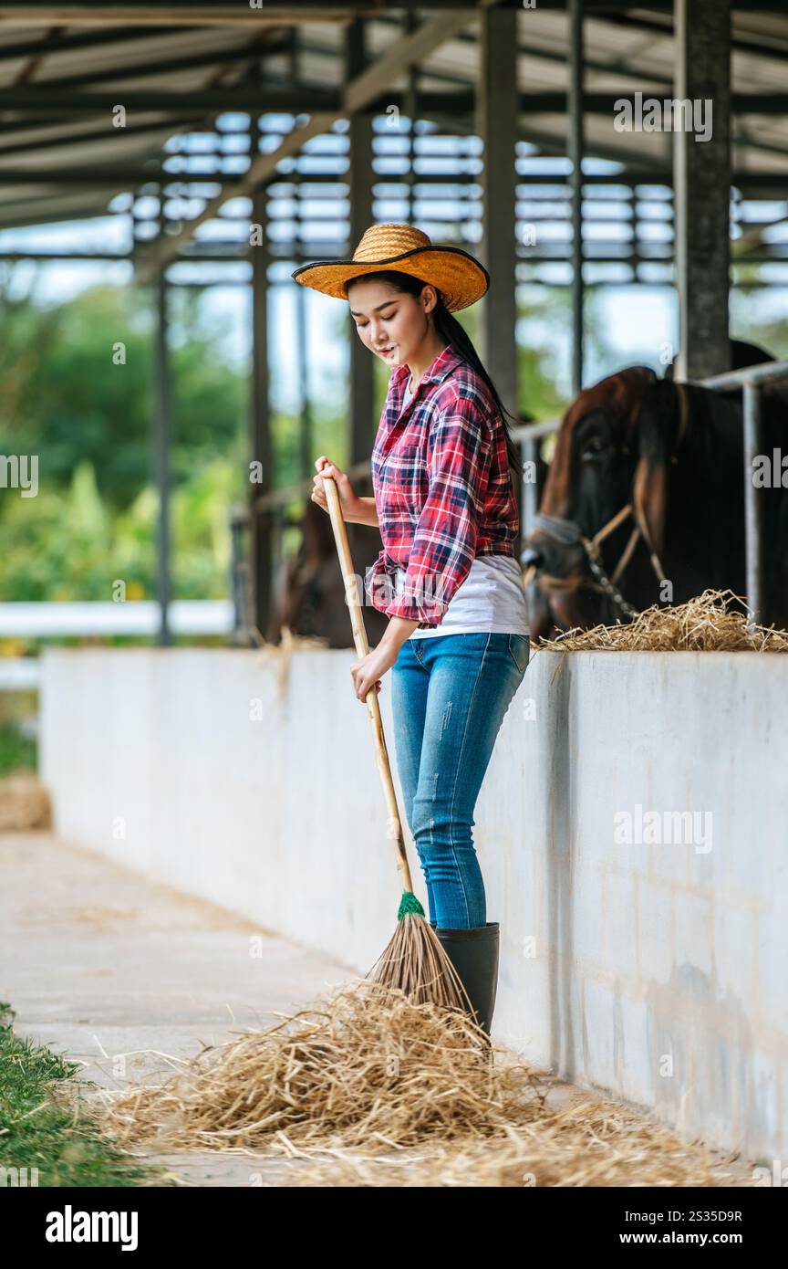 Portrait of Happy young Asian farmer woman sweeping floor at cow farm ...