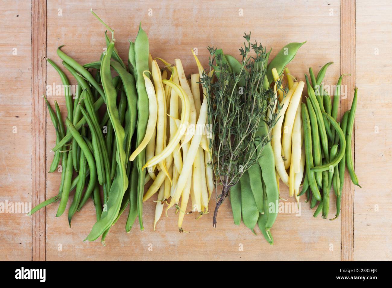 Various types of beans with herbs Stock Photo - Alamy