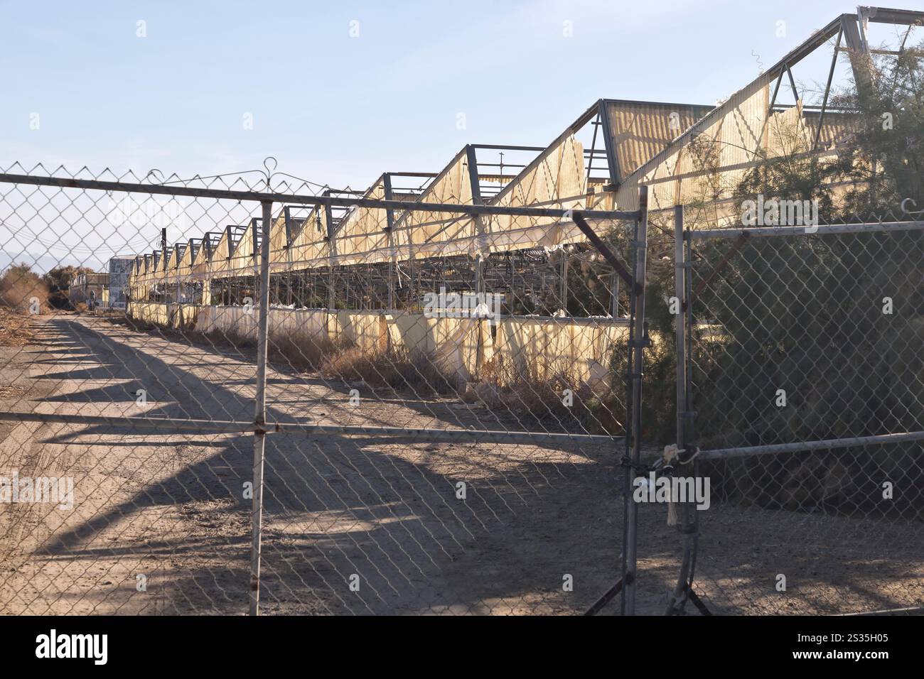 Green chain link fence covered hi-res stock photography and images - Alamy