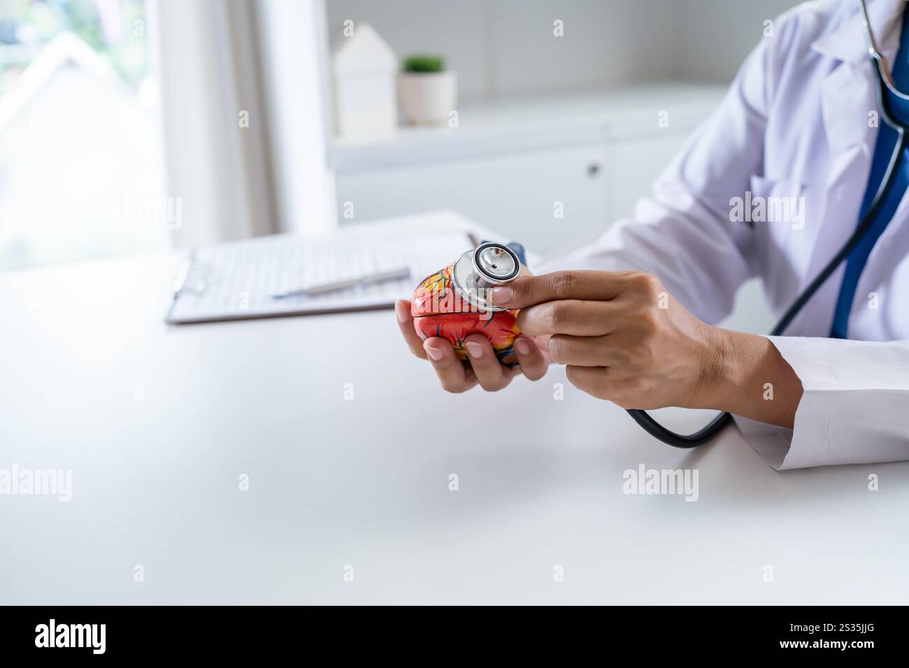 Doctor with anatomical model of human heart Cardiologist supports the ...