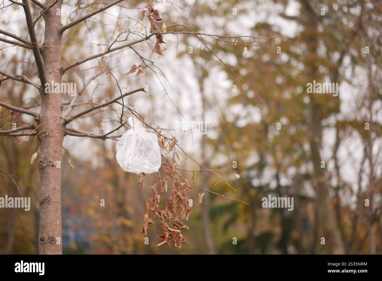 Plastic Bag Caught on Tree Branch in a Public Park, environmental ...