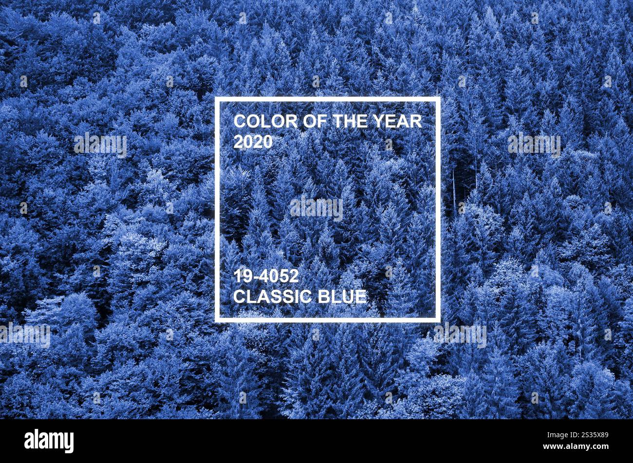 Texture of a mountain forest with many trees. View from high. Phantom ...