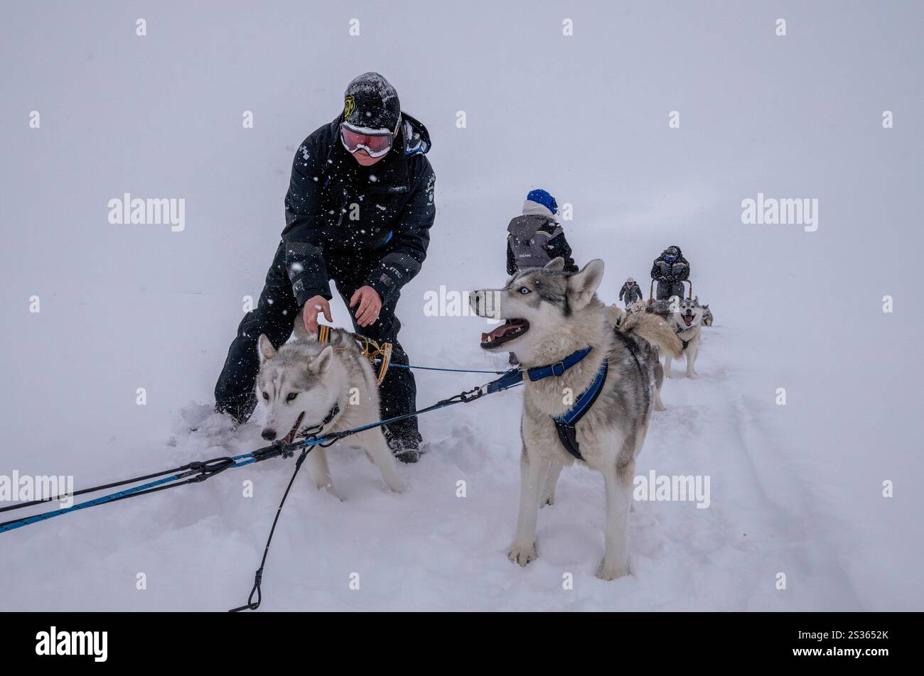 Icelandic sledding tradition hi-res stock photography and images - Alamy