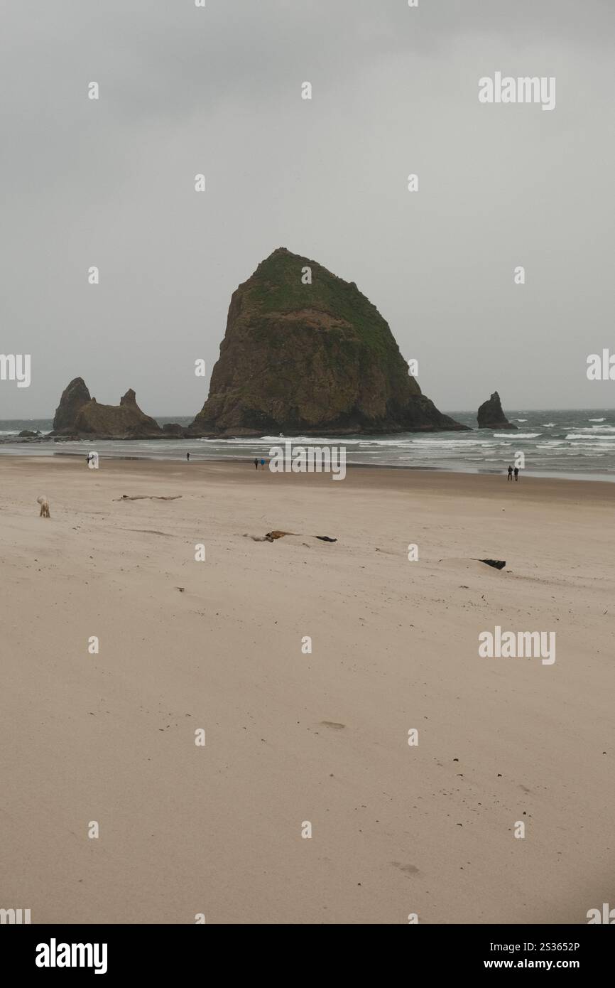 Haystack Rock off the Coast of Oregon Cannon Beach Stock Photo - Alamy