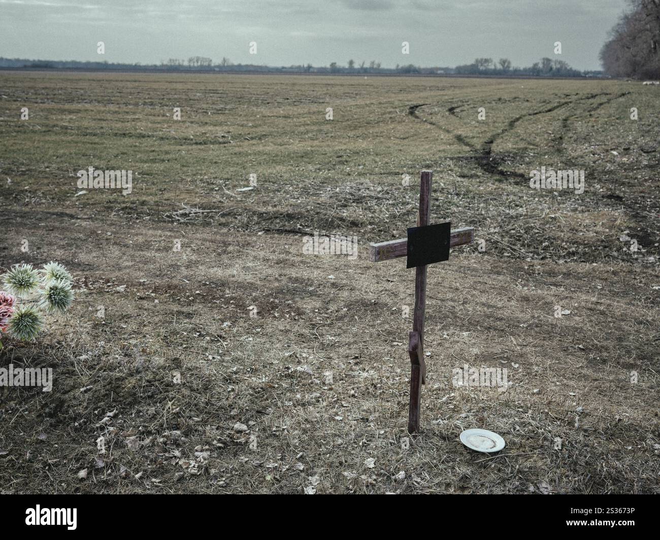 Group ukraine hi-res stock photography and images - Alamy