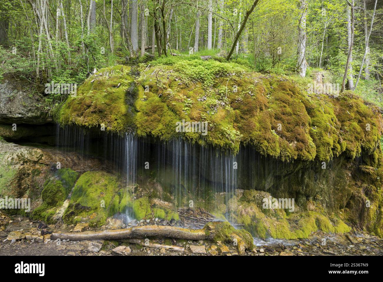 Moss-covered rocks and waterfall, Wutach Gorge, Bonndorf, Baden ...