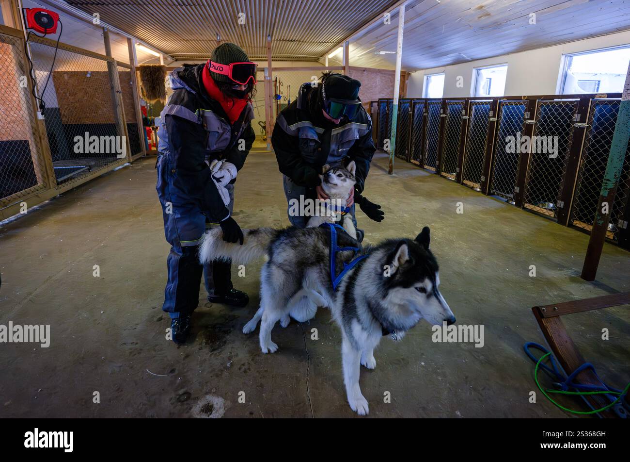 Riders are seen interacting with a group of huskies at a sled dog ...