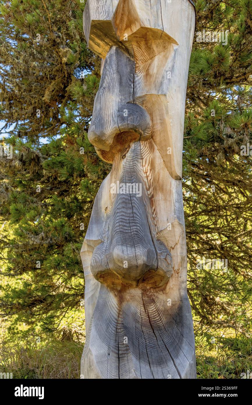 Tree trunk, carved face, symbol for magic, carving art, surveillance ...