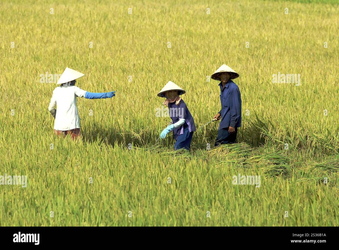 All people are farmers hi-res stock photography and images - Alamy