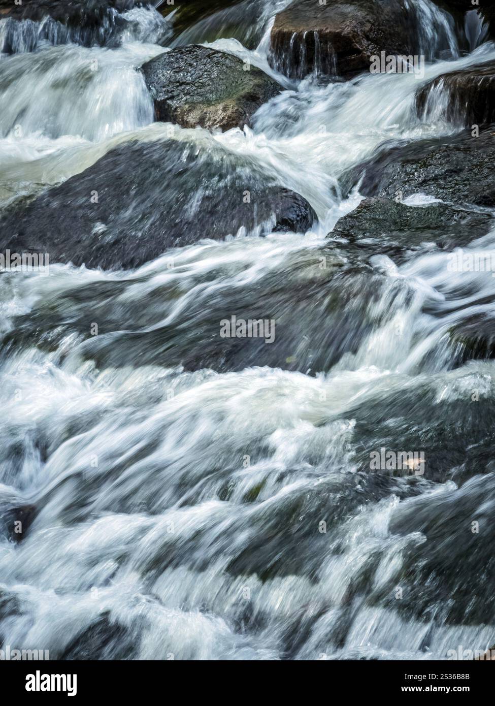 A stream with stones and flowing water. Experience the landscape in ...