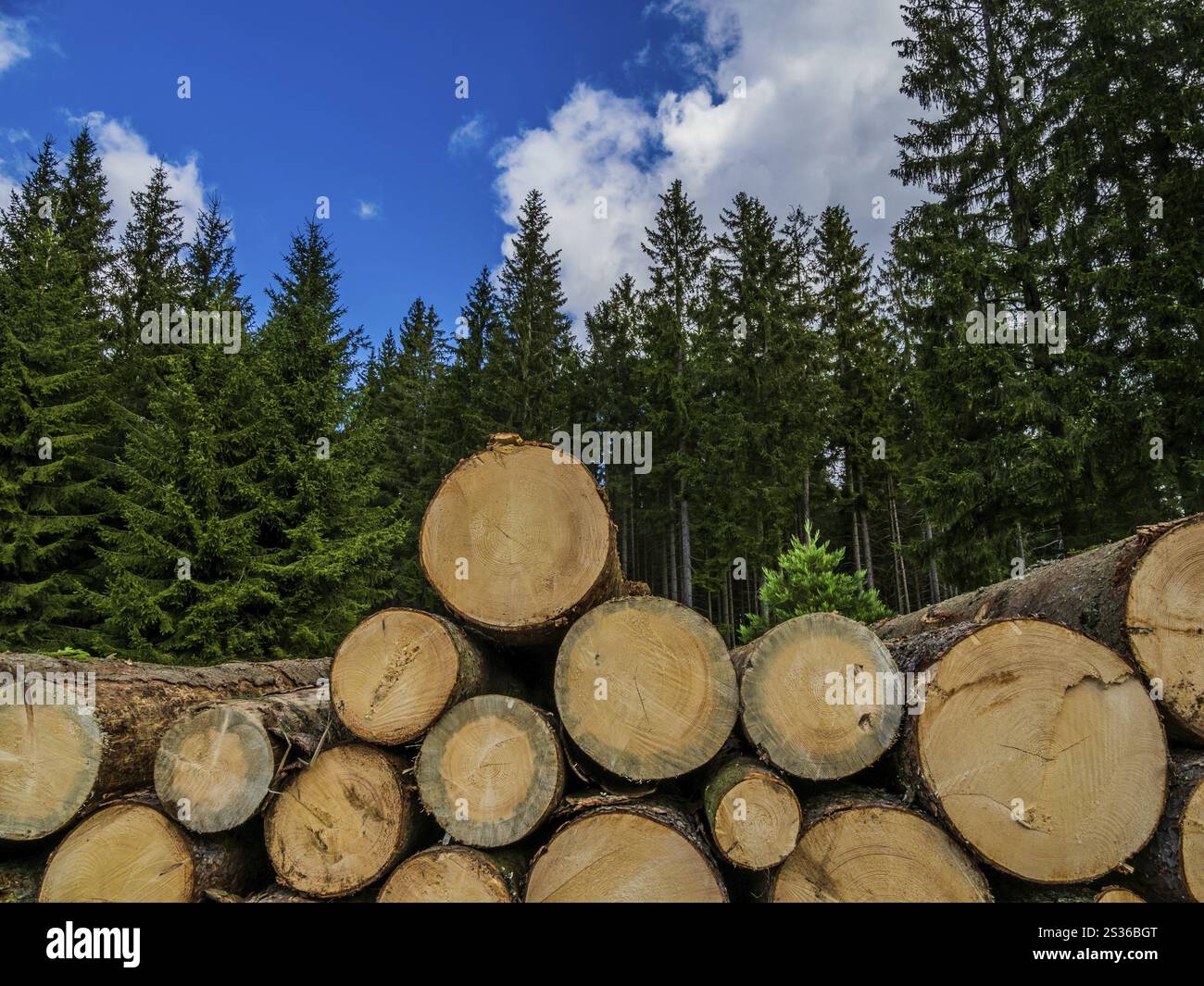 Sources of raw materials hi-res stock photography and images - Alamy