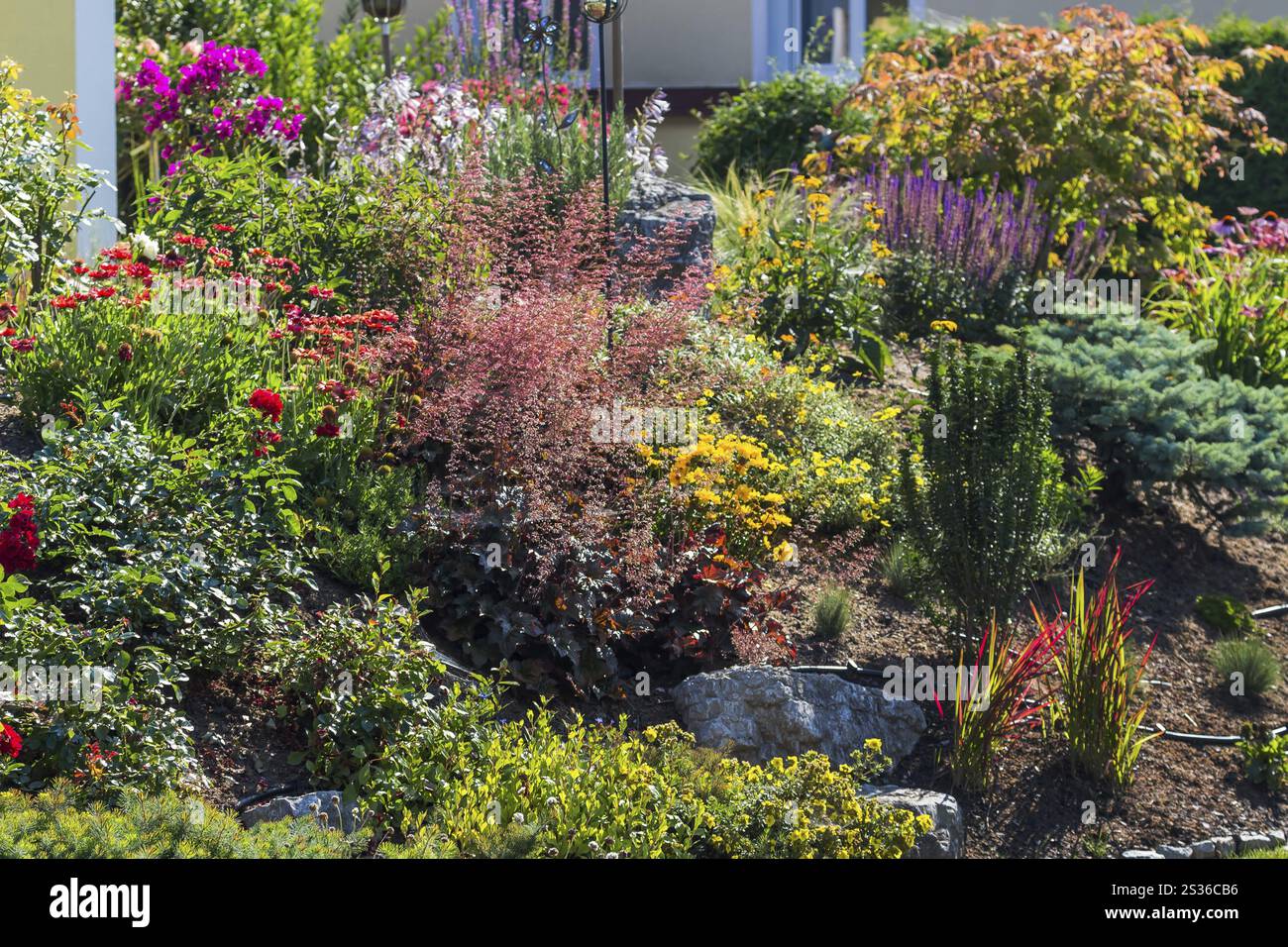 Various flowers and plants grow in a beautiful garden. Austria Stock ...