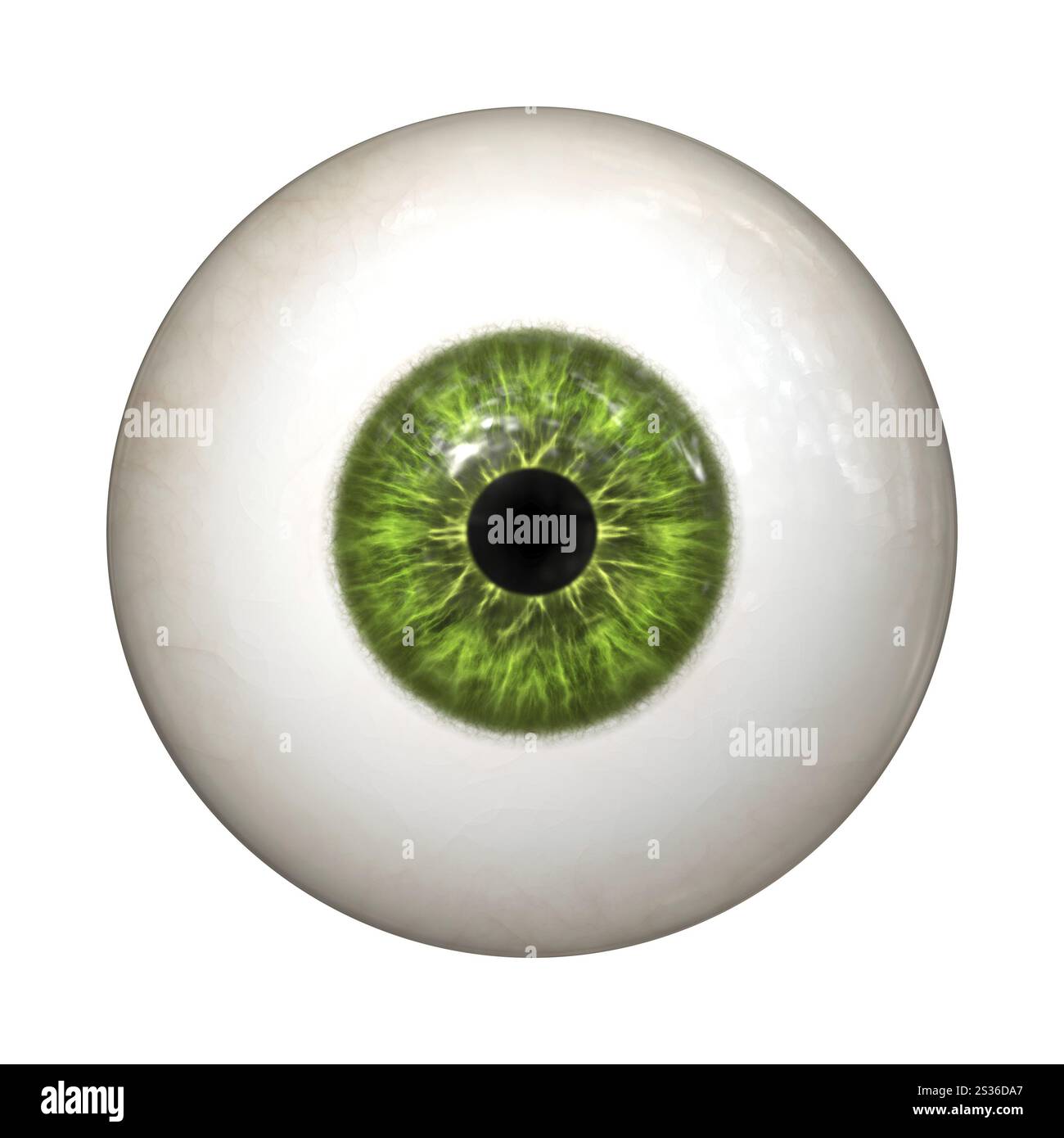 An illustration of a beautiful green coloured iris texture Stock Photo ...