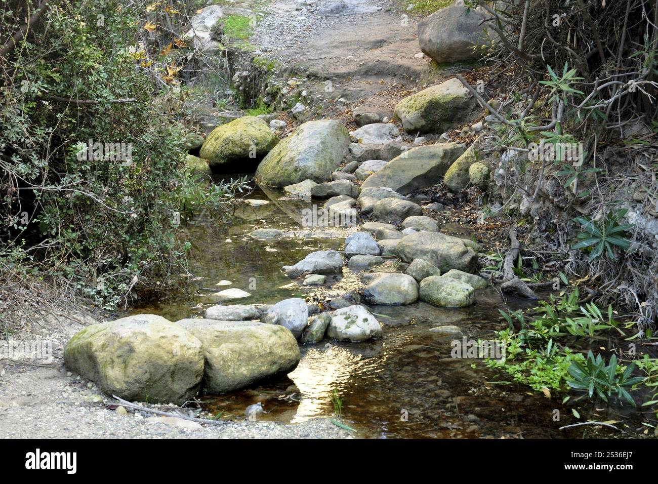 Hiking trail at Akamas Gorge in Cyprus Stock Photo - Alamy