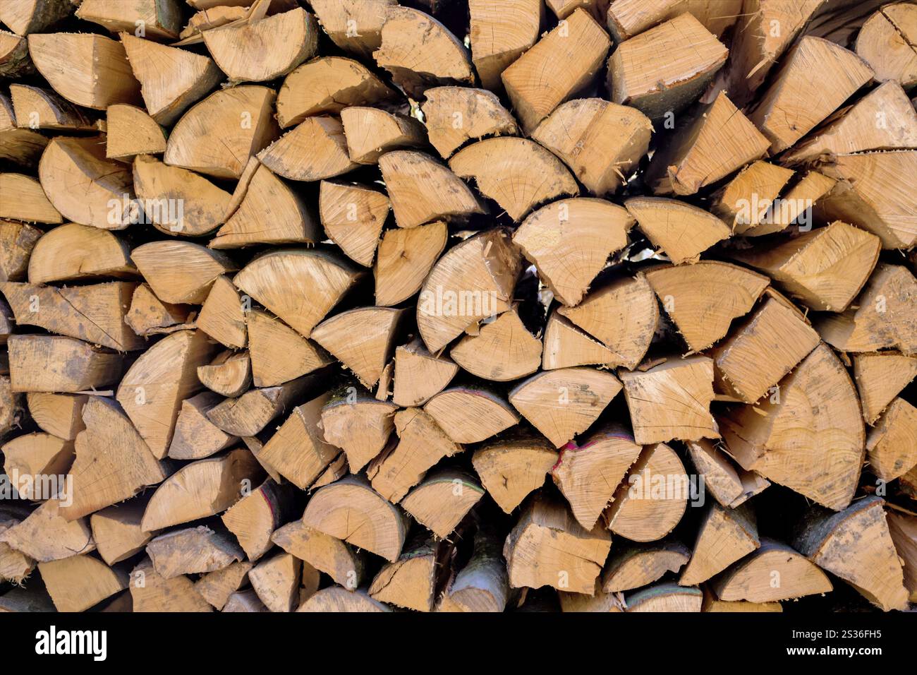 Trees in a forest were cut down during timber work. Natural, energy ...